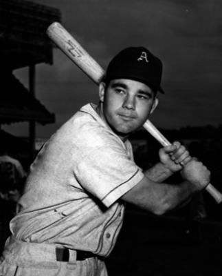 Seals at War – Chevrons and Diamonds