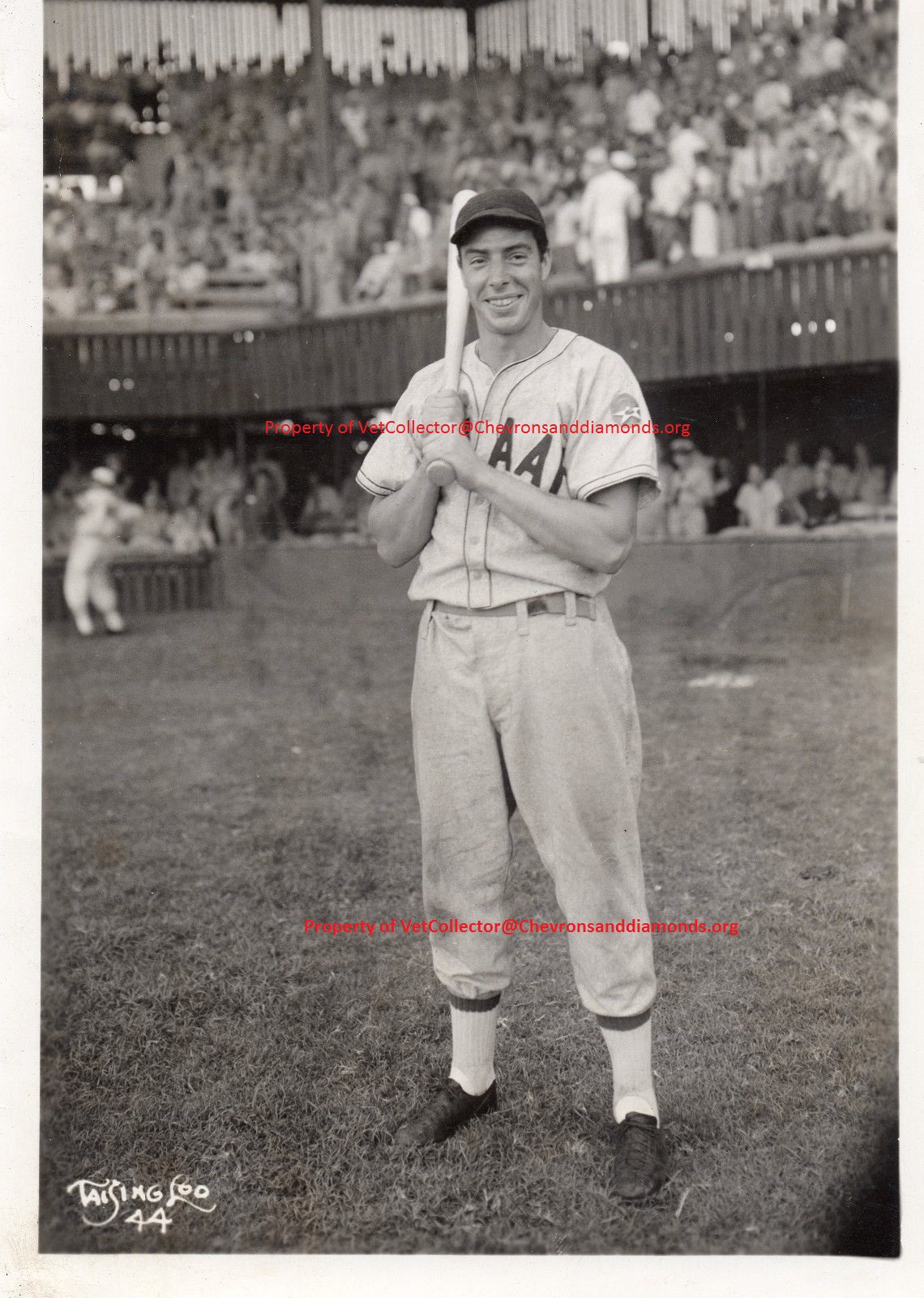 Accidental Discovery: A Photographic Military Baseball Holy Grail of ...