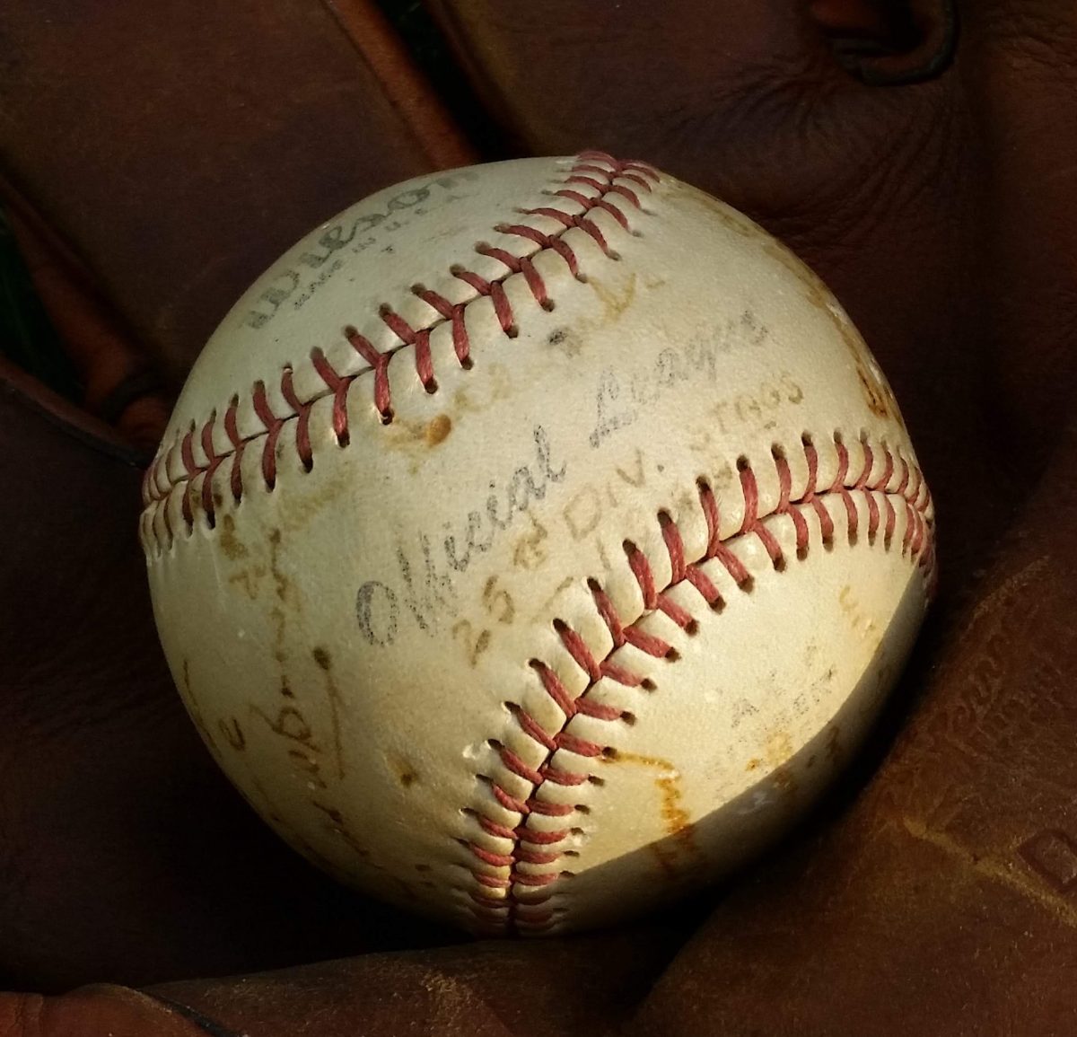 (Tropic) Lightning on a Ball: 25th Infantry Division Stags Baseball ...